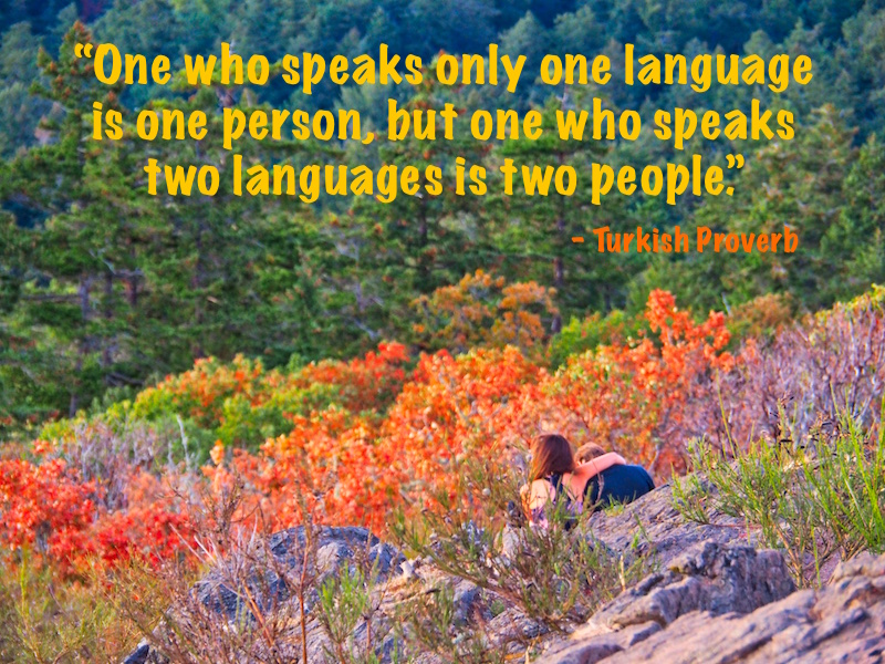 One who speaks only one language… – Traveller's Lingo